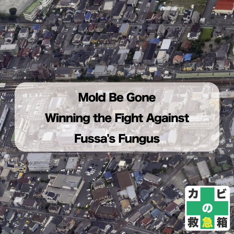 Mold Be Gone: Winning the Fight Against Fussa’s Fungus│カビ取り・対策専門業者MIST ...